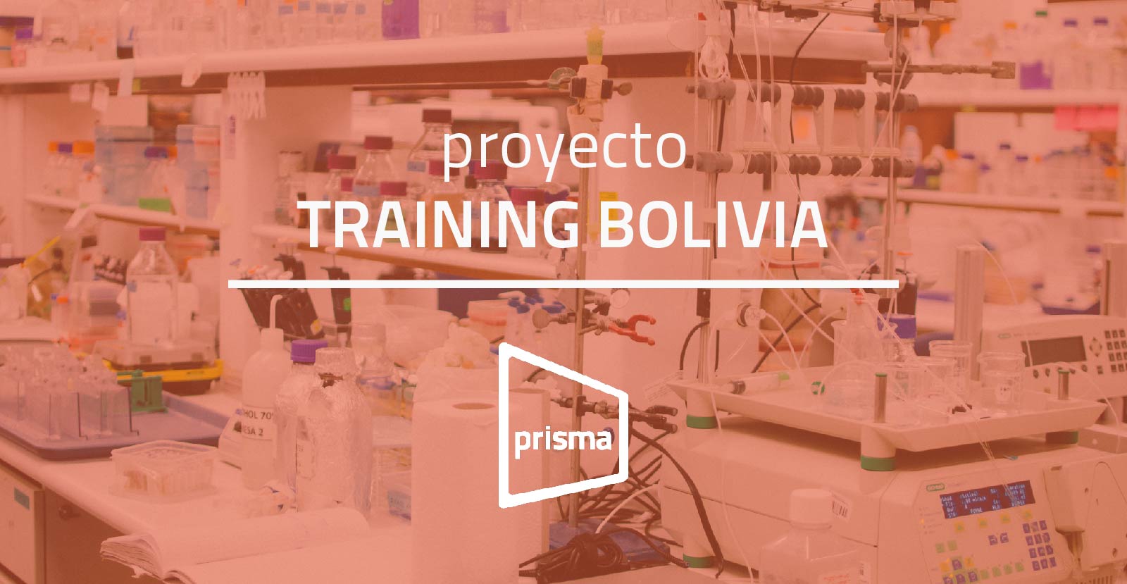 Training Bolivia - Prisma Investigación