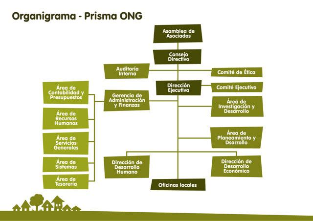 Organización - Prisma ONG