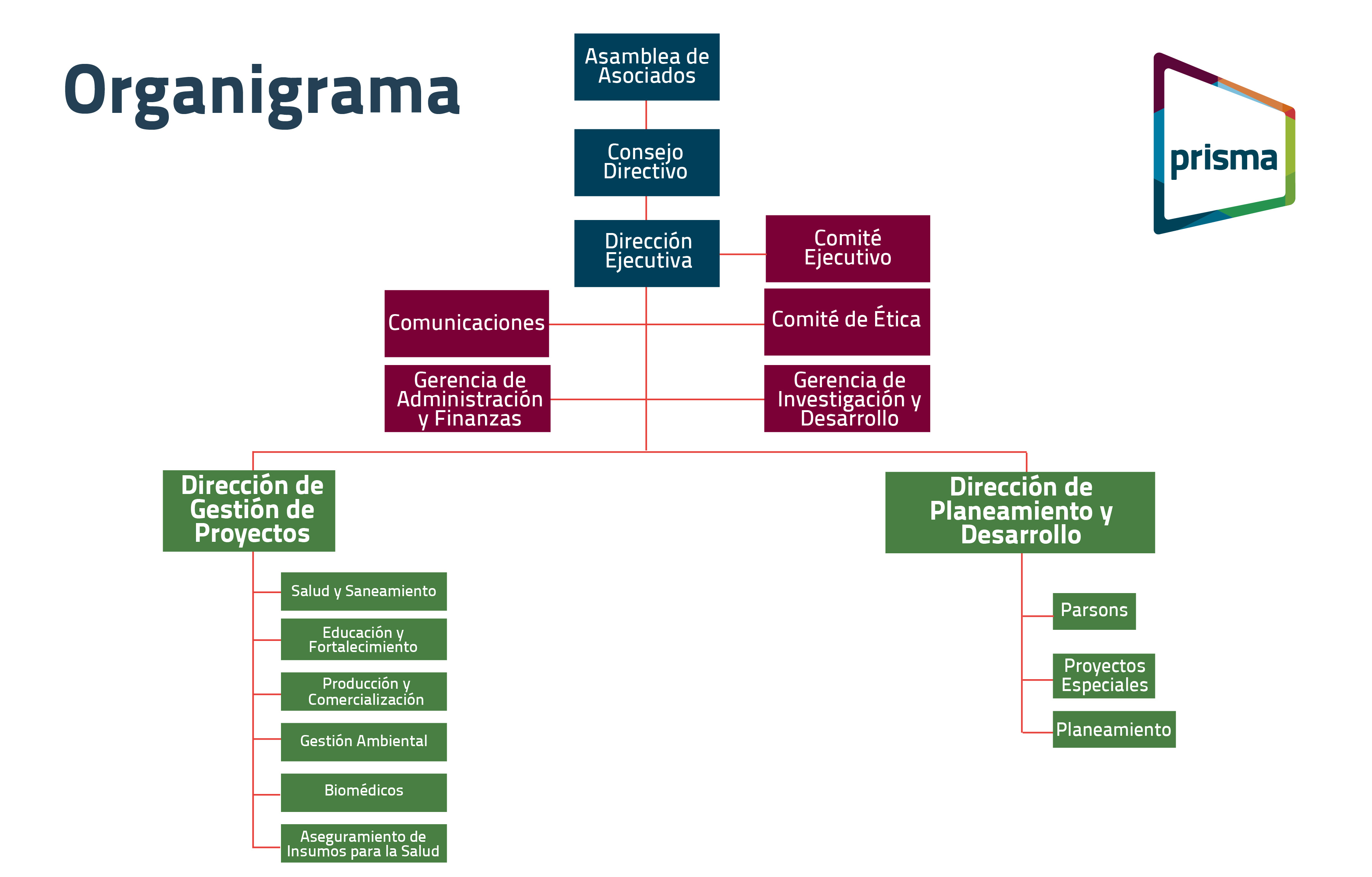 Organización - Prisma ONG